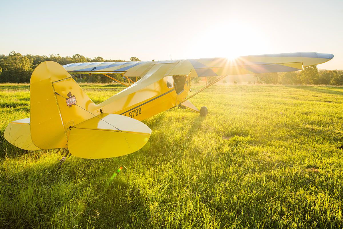 CLIPPED WING CUB
