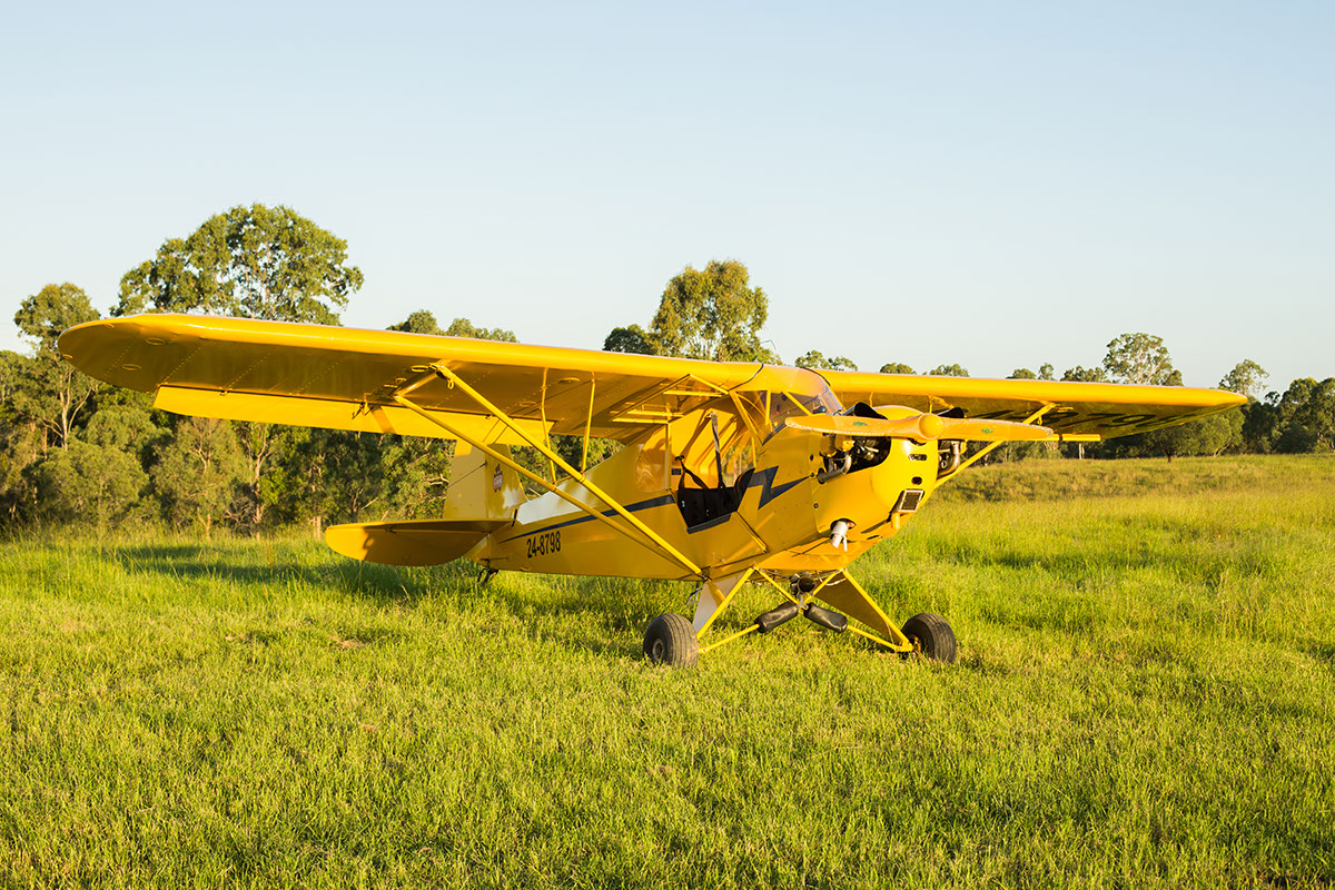 CLIPPED WING CUB
